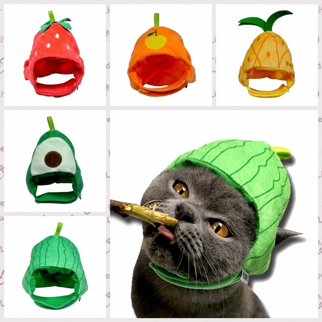 Cats Wearing Fruit Hats