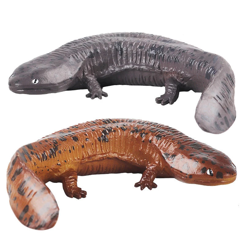 Salamander Figures | Giant Salamanders | Salamander Model | Amphibians ...