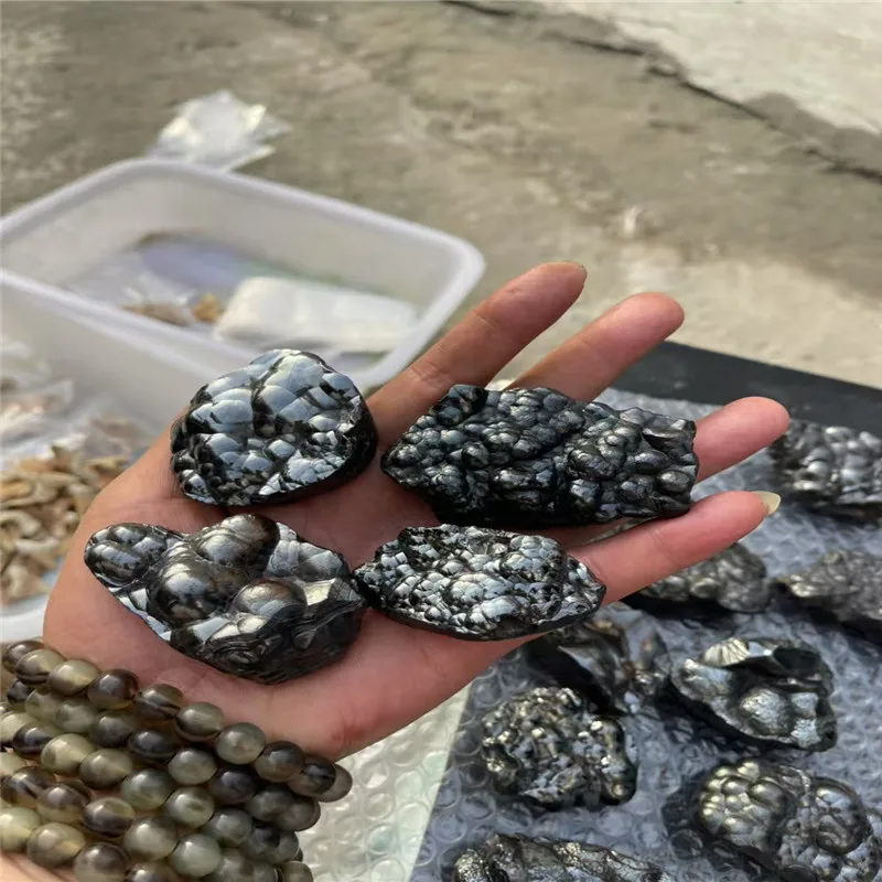 Exploring the Mystique of Meteorite Space: A Guide to Collecting and ...