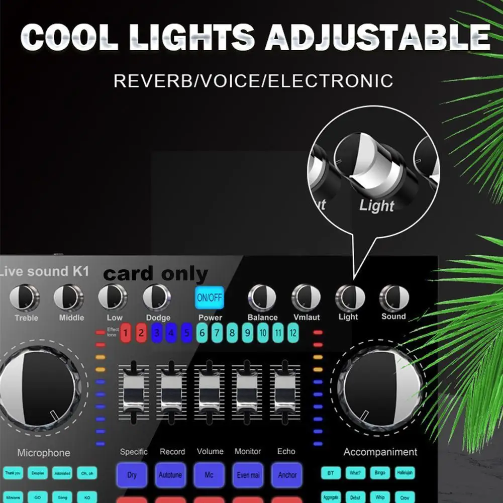 K1 Sound Card Internet Celebrity Live Broadcast Special Microphone K ...