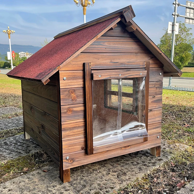 Largest House Dog