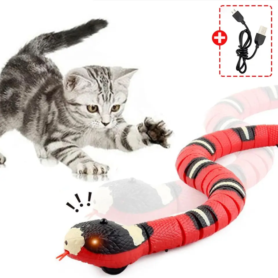 Slangenbeet Op Kat
