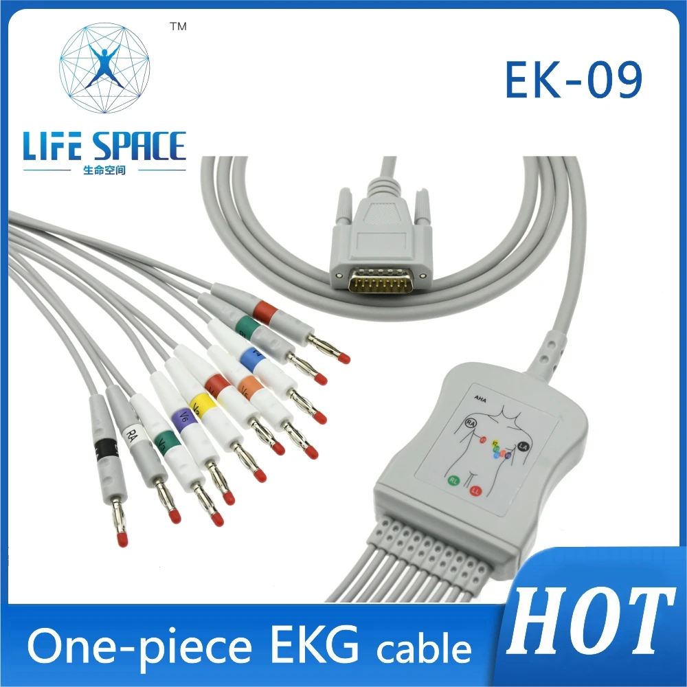 Cable ECG/ECG DB15 pines ECG EKG 10 derivaciones cable electrodo EKG ...