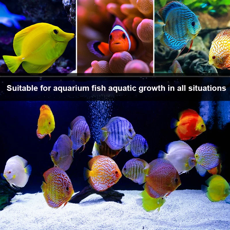 Éclairage,Lampe LED étanche Submersible pour Aquarium, 5050 rvb, avec ...