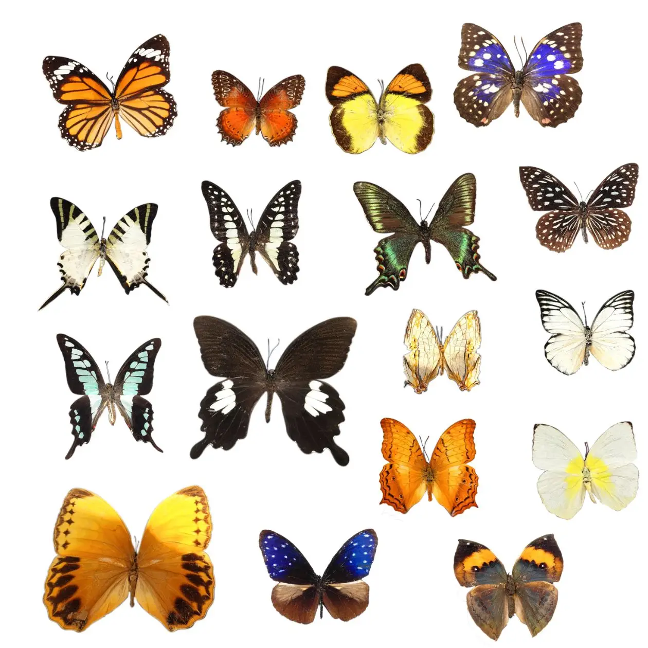 Store Home Products Feedback