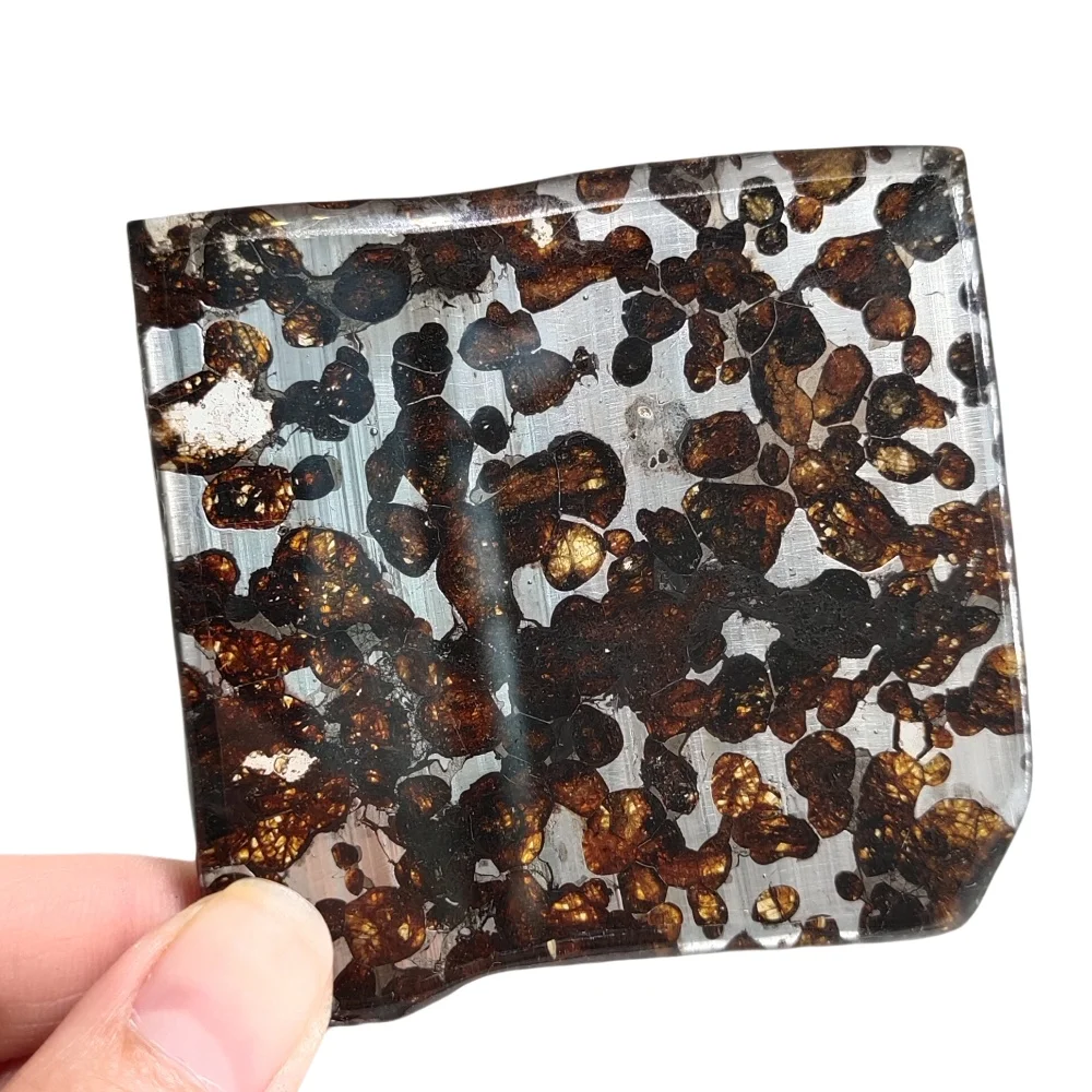 51-6g-Sericho-Pallastie-Meteorite-Olivine-Slice-Meteorite-Natural ...