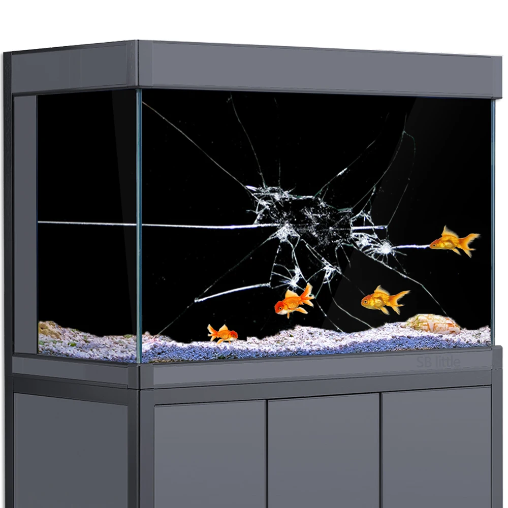 Black Background For Fish Tank
