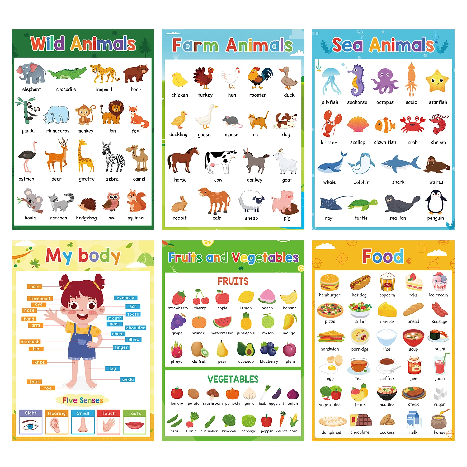 Food From Animals Chart