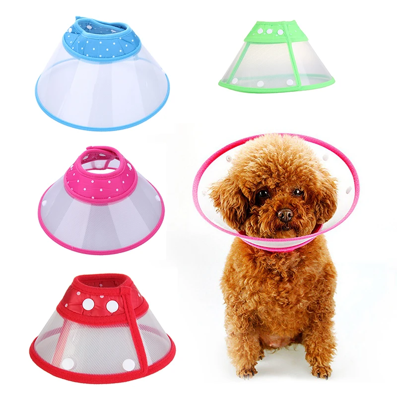 Colorful Pet Elizabeth Circle Guard Collar Ring Cat Dog Anti-Bite ...