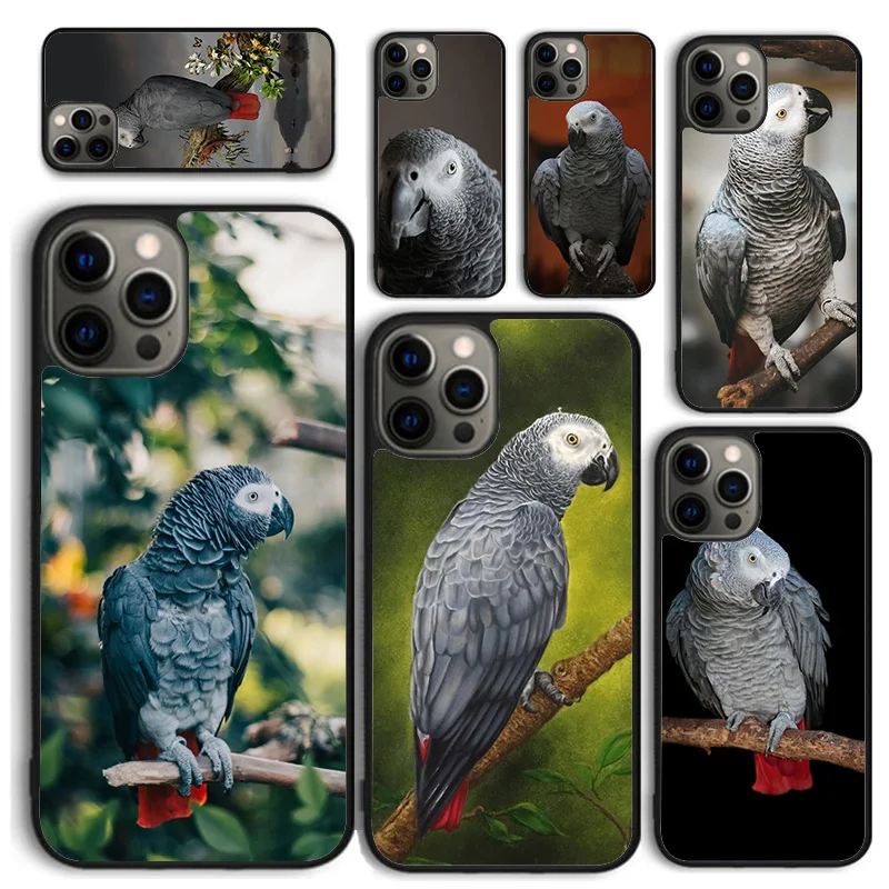 African-Grey-Parrot-Phone-Case-for-iPhone-14-12-13-mini-5-6S-7-8-PLUS.jpg