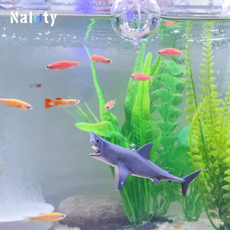 Mini Sharks For Fish Tanks