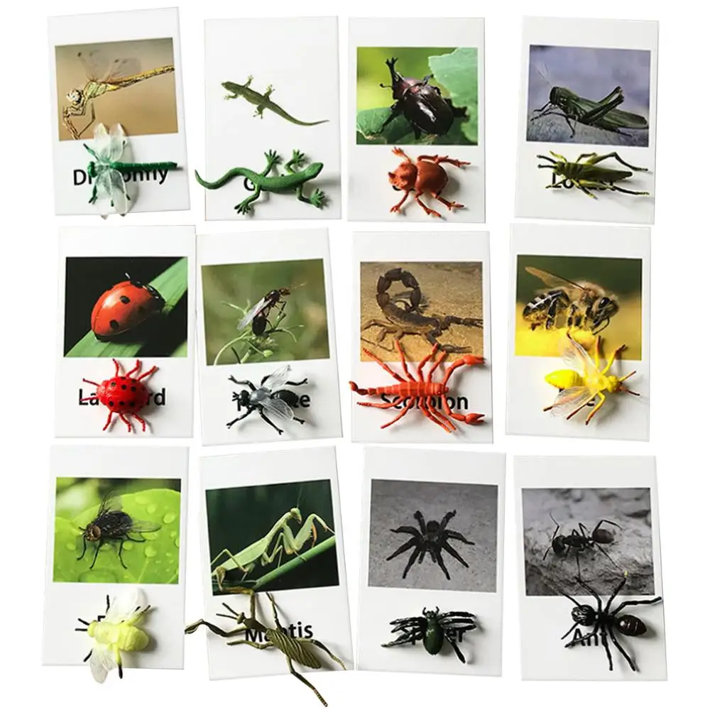 12PCS Montessori Animal Cards Funny Insect Figurines Toys with Matching ...
