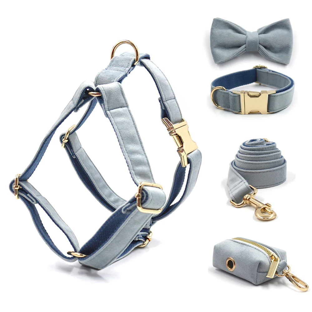 Luxus Geschirr Oder Halsband Bild