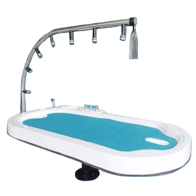 Hydrotherapy Bed
