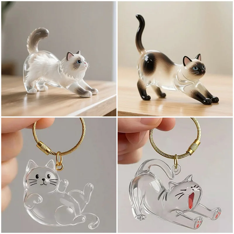 Transparent Cat Capsule Keychain Accessories Pet Kitten Cat Hair ...