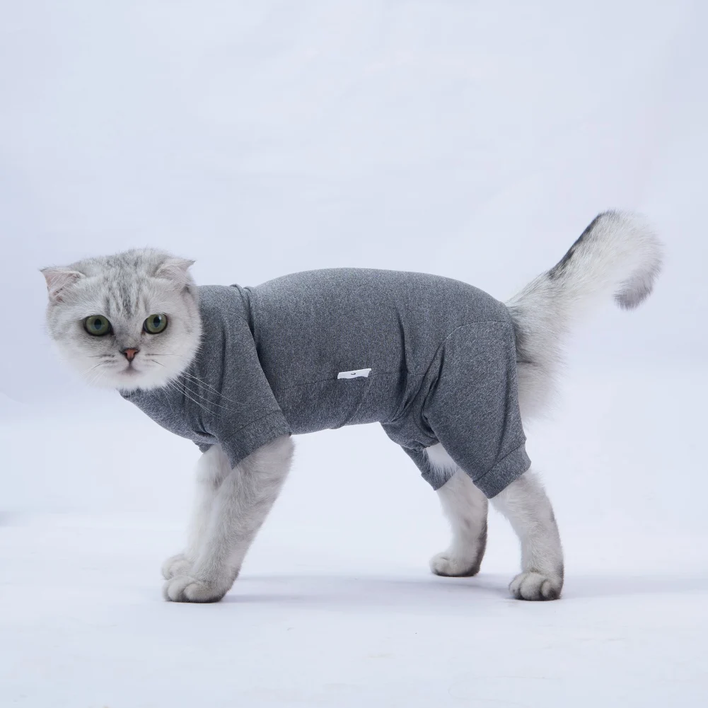 Traje de recuperación para gatos, camisa para perros y gatos después de ...