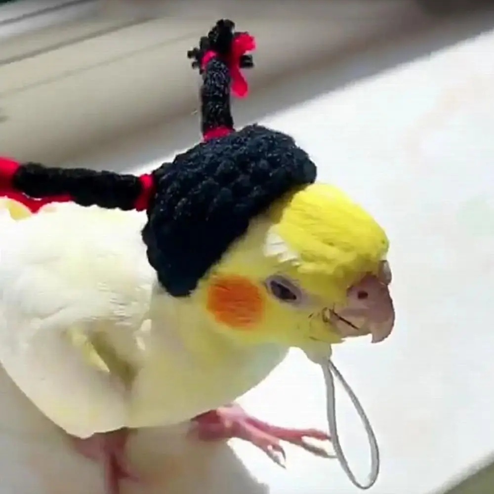 Casquette-snood,Mini chapeau de hamster pour petits animaux,jolis ...