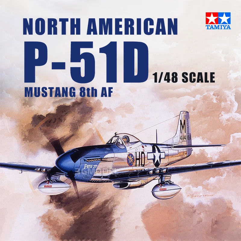 TAMIYA-Assembled-Aircraft-Model-Kit-61040-American-P-51D-Mustang ...