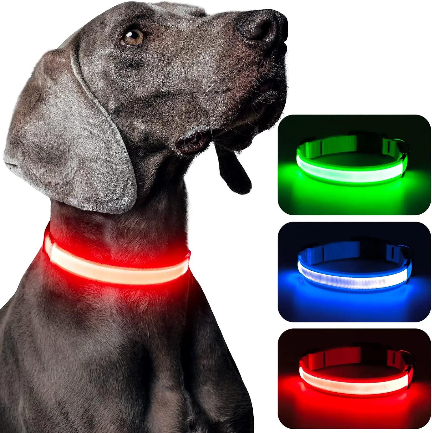 LED-Dog-Collar-USB-Rechargeable-Bright-High-Visibility-Lighted-Glow ...