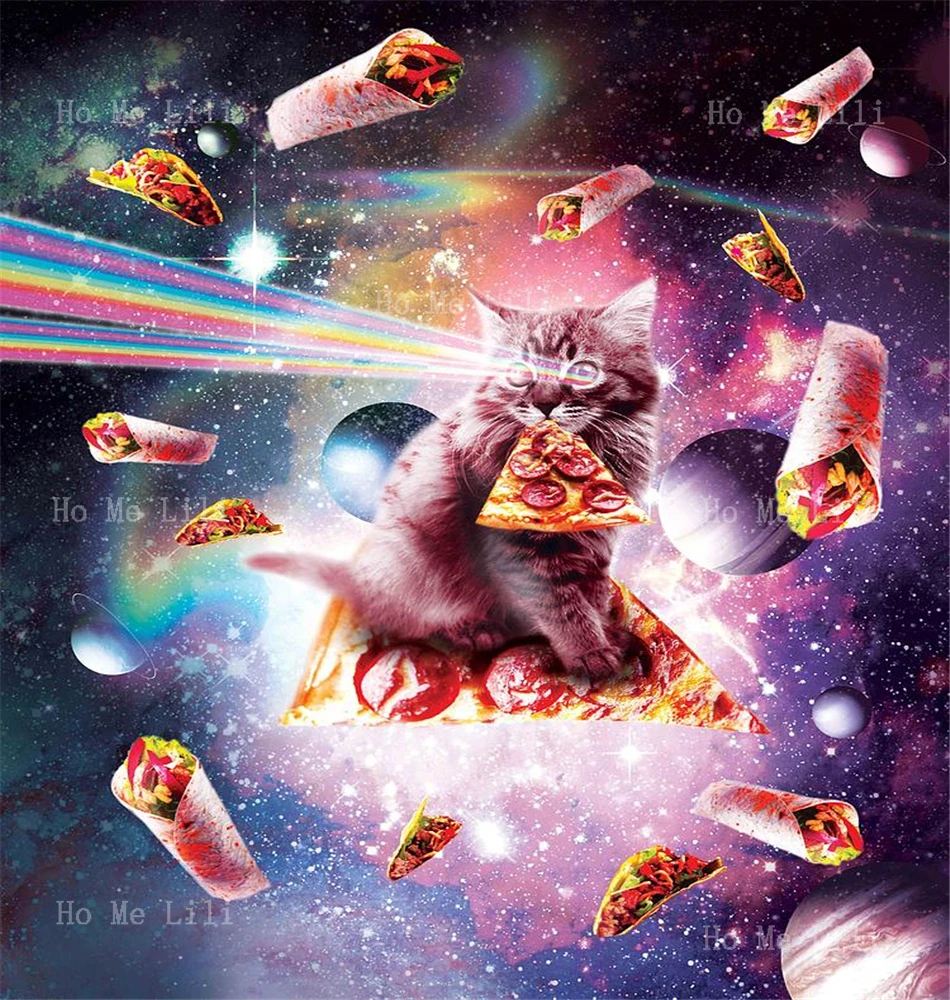 Burrito Cat Space