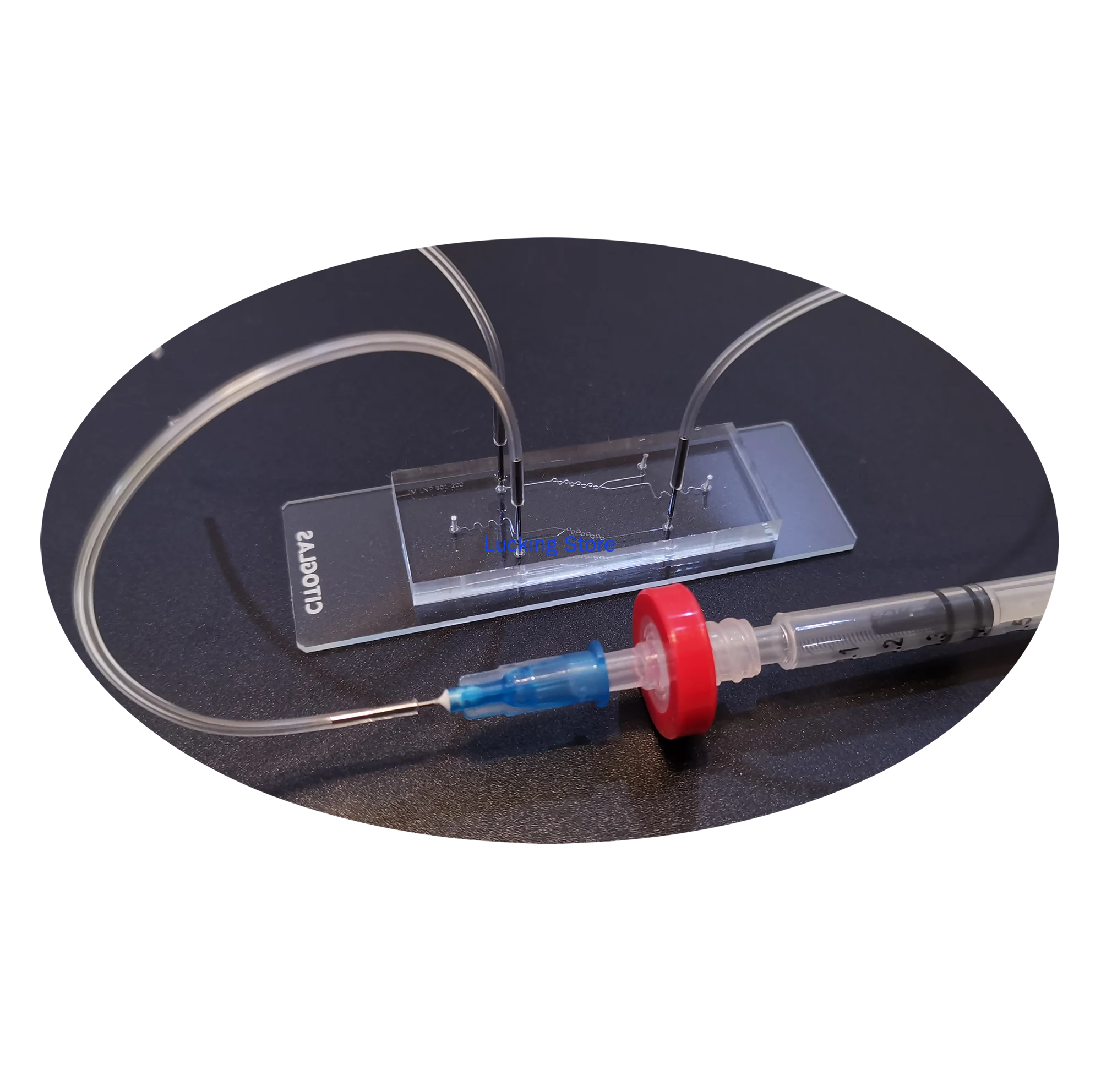 Store Home Products Feedback