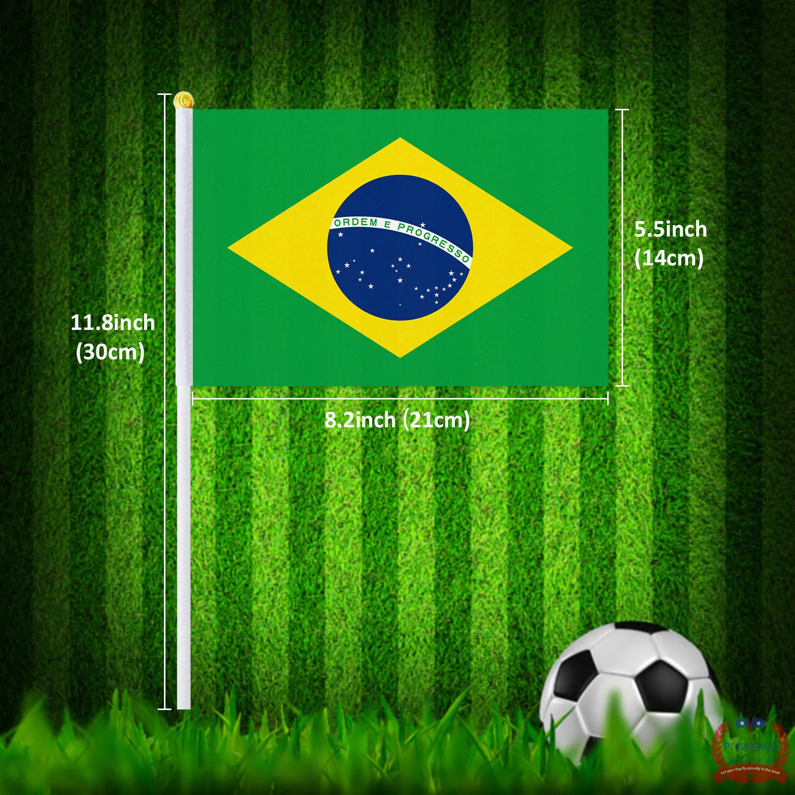 PTEROSAUR-14*21cm Brazil Hand Flag, International Brazil Brazilian ...