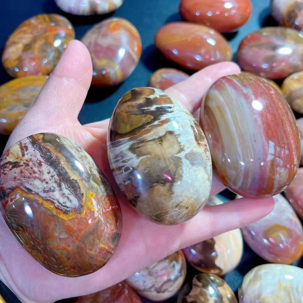 Petrified Wood Gem