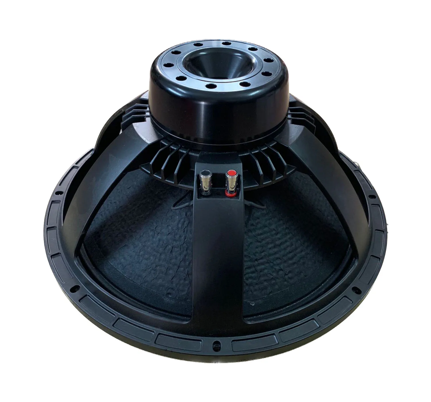 Dual 15 Inch 1000W Neodymium Woofer | 100mm Voice Coil + 4" Coil | Pro ...