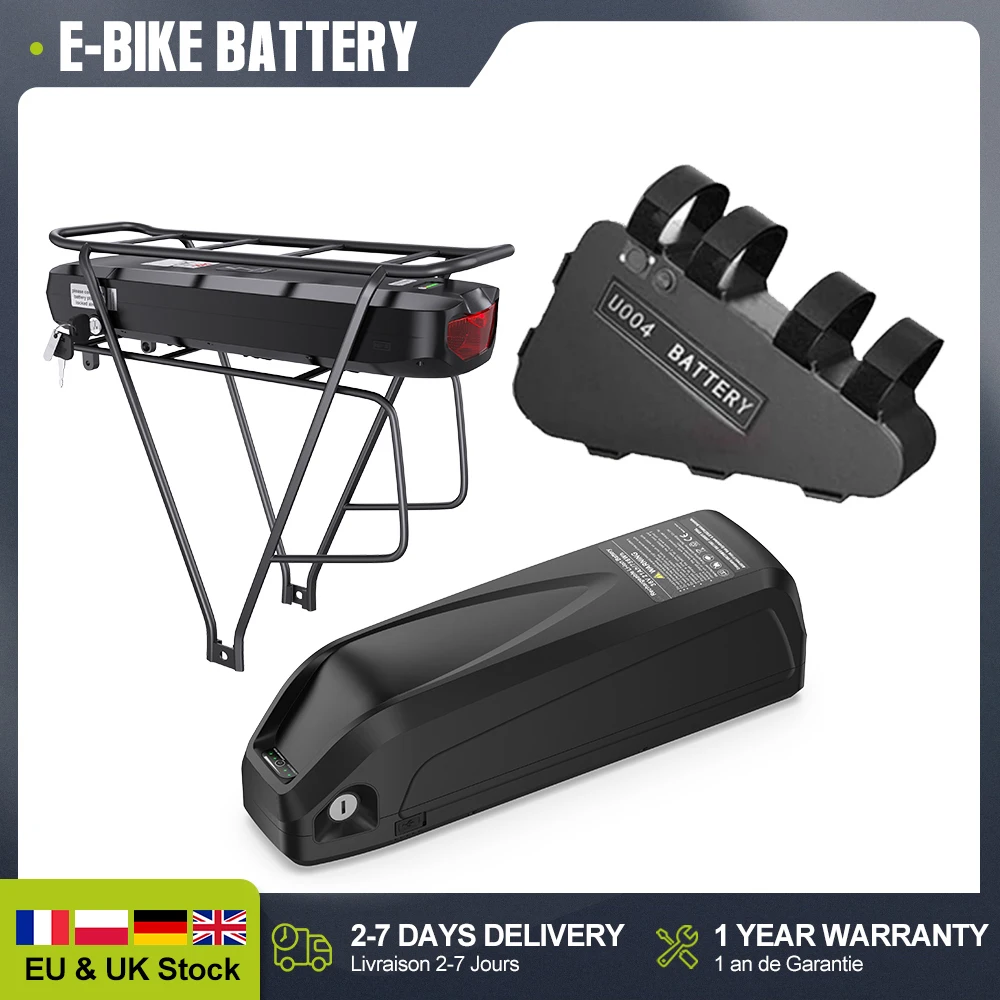 Electric-Bike-Battery-E-Bike-Lithium-Battery-52V-48V-36V-Hailong ...