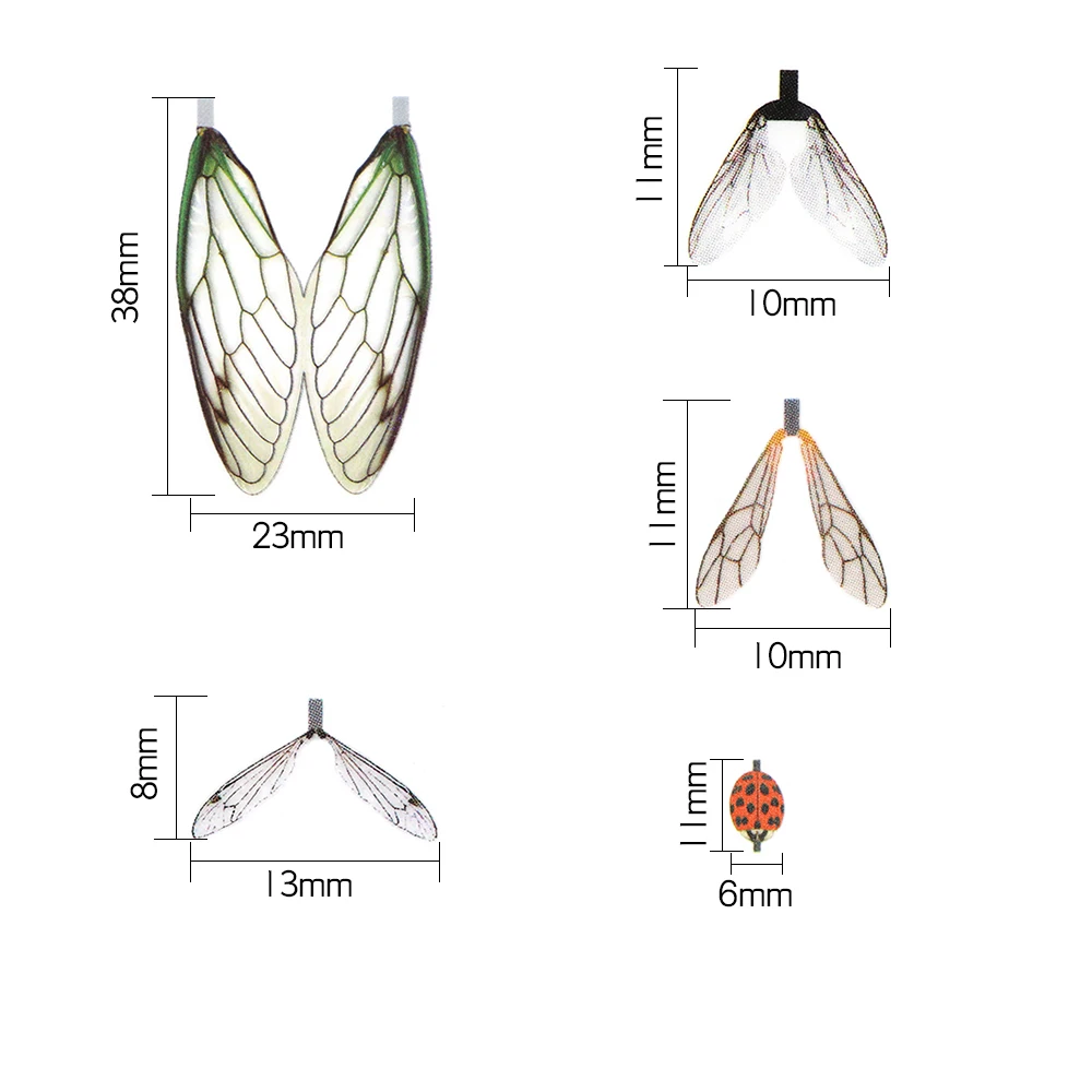 Insect Wing Diagram
