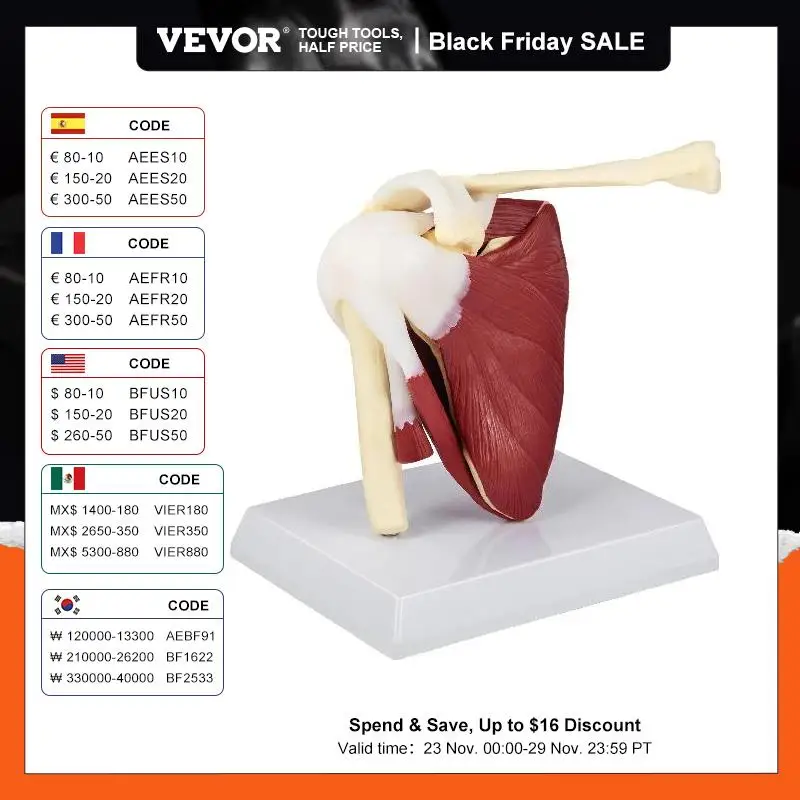 VEVOR-Life-Size-Human-Shoulder-Joint-Ligament-Model-Anatomical-Skeleton ...