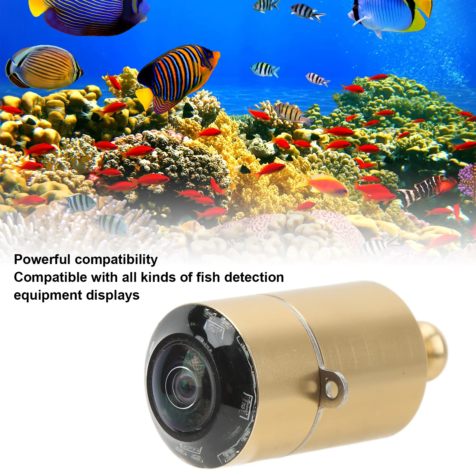 Fish-Finder-Camera-Professional-Waterproof-CVBS-HD-Pixels-Underwater ...