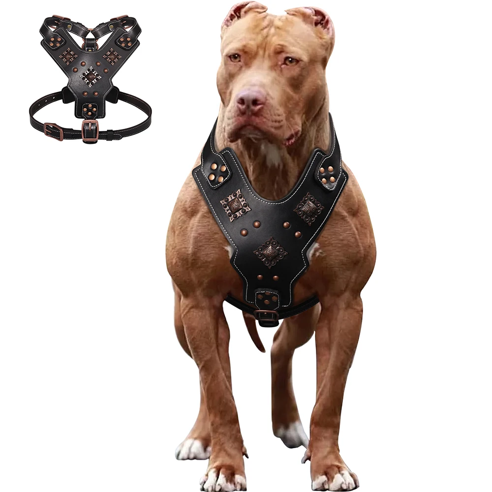Real-Leather-Large-Dog-Harness-Durable-Dog-Harness-Genuine-Leather-Dog ...