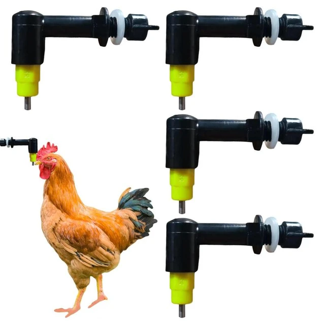 Self Watering System For Chickens