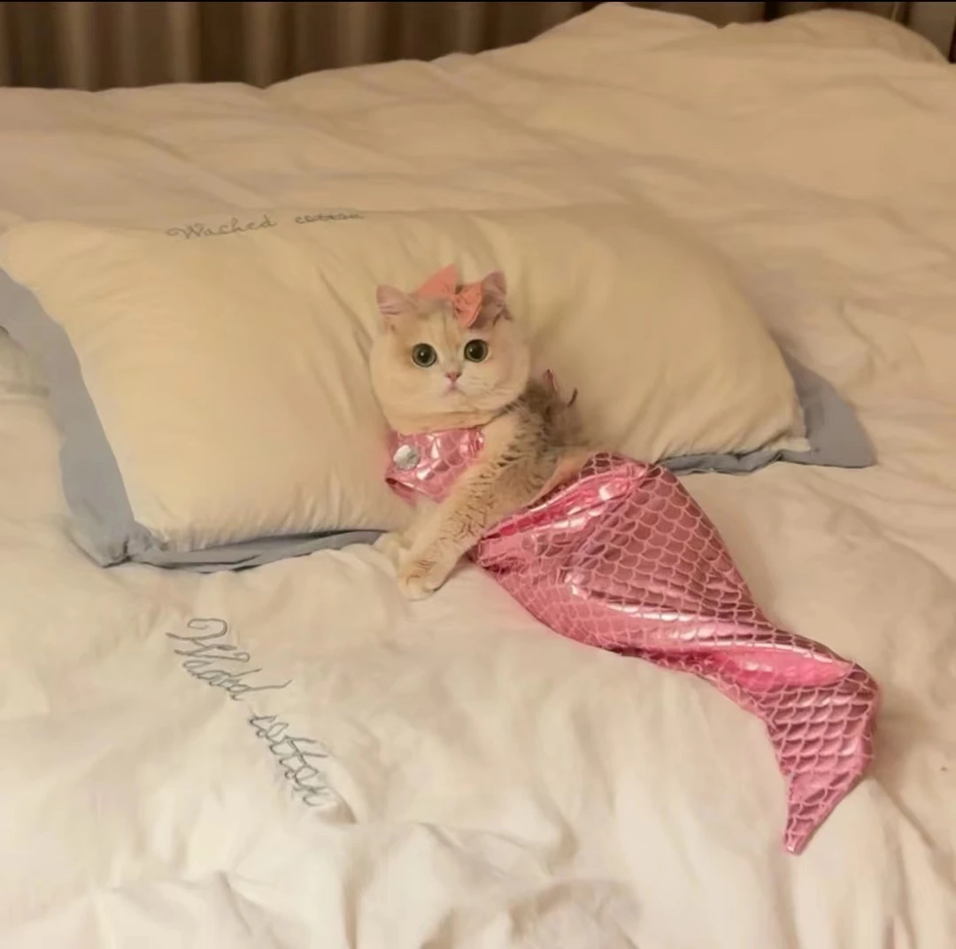 Cat-Mermaid-Crossdressing-Funny-Swimsuit-Fish-Tail-Shape-Cute-Bikini ...