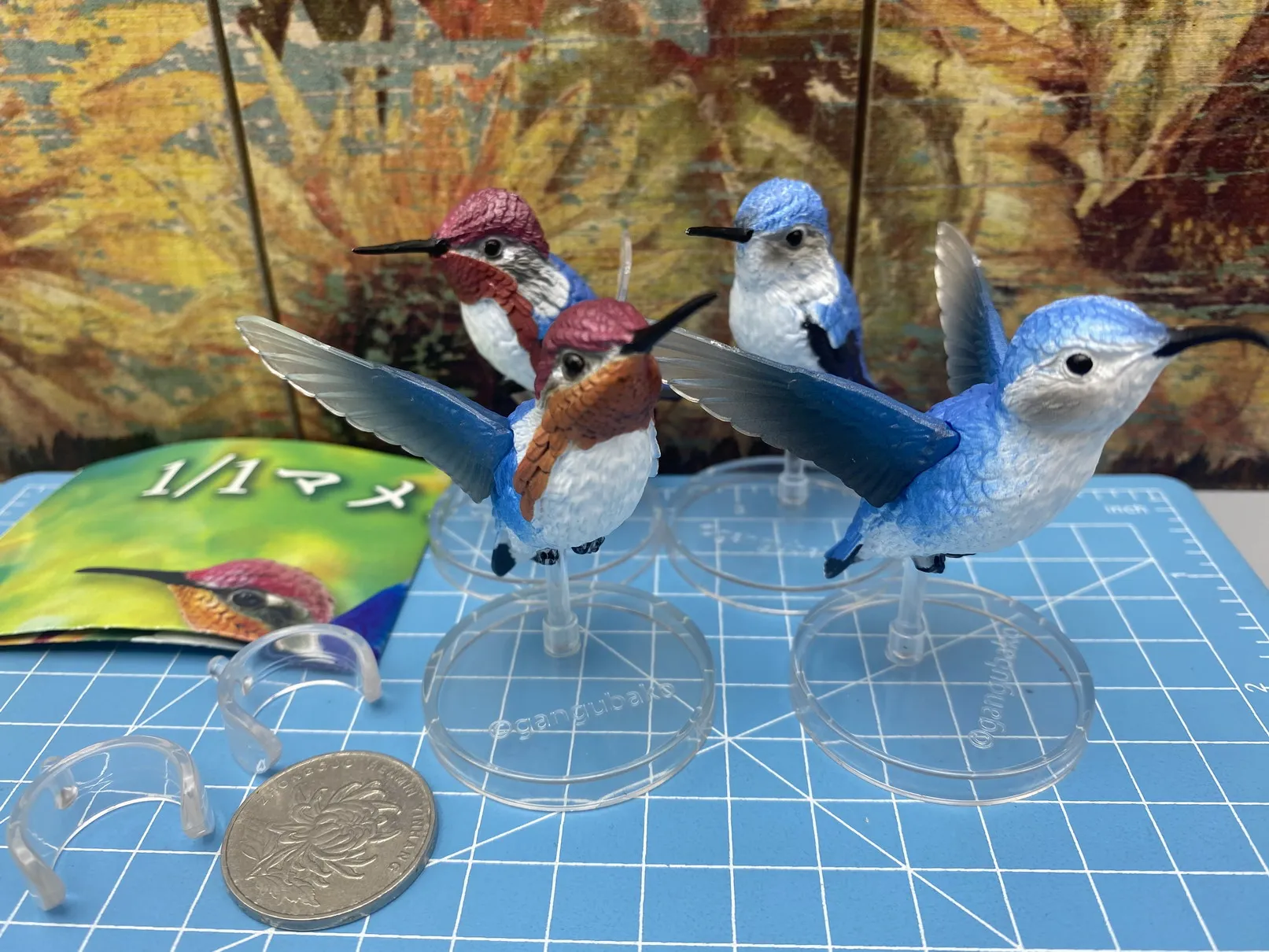 Blue Hummingbird Eggs