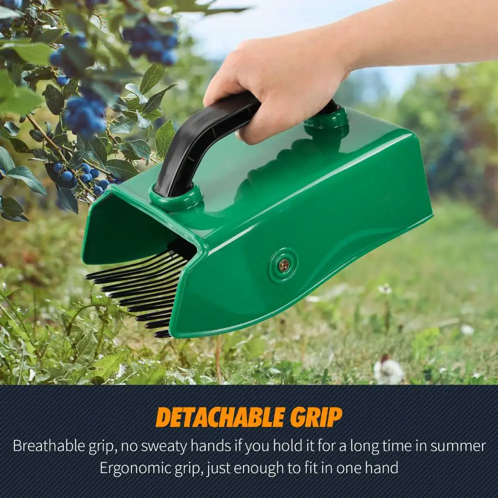 Homemade Blueberry Rake