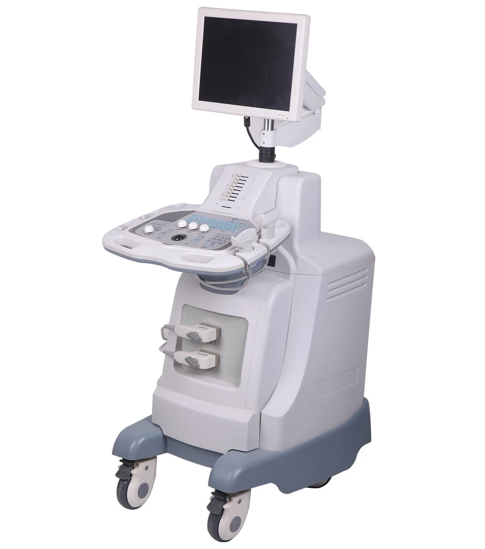 15 Inches Led Screen Medical Baby Kidney Renal Pregnancy Abdominal Echo ...