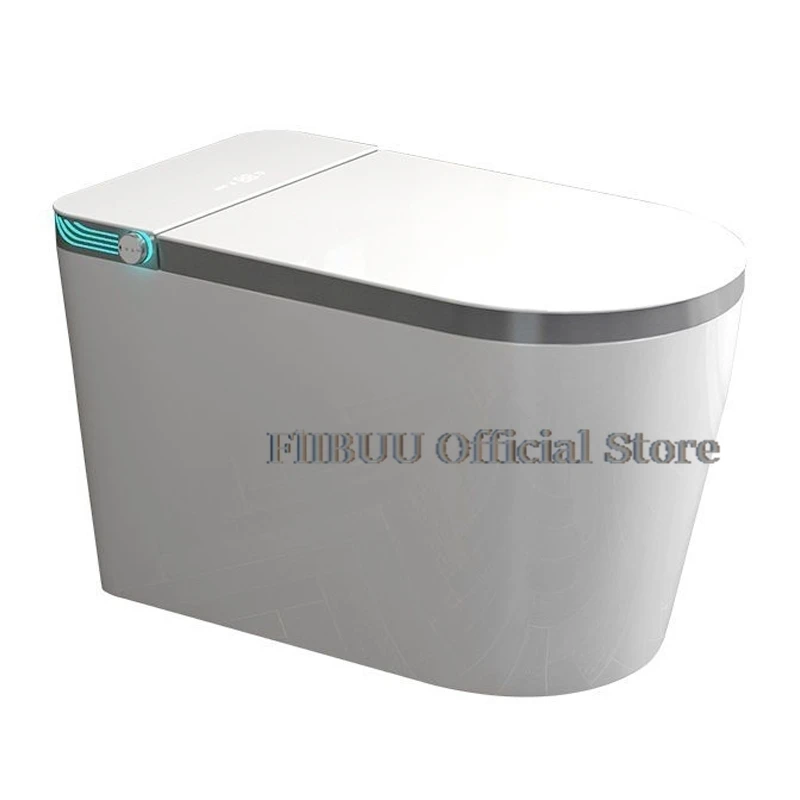 Elongated-Smart-Toilet-Built-in-Bidet-Water-Tank-No-Water-Pressure ...