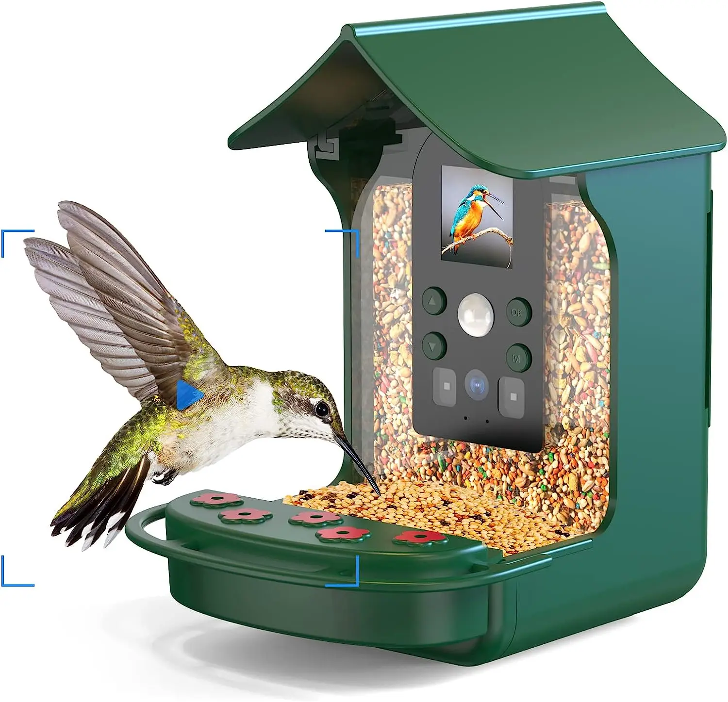 Intelligent bird feeder camera, hummingbird viewing camera, with motion ...