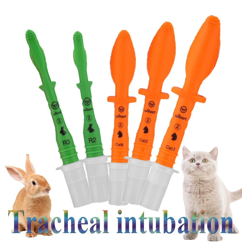Special-Cat-Rabbit-Blind-Endotracheal-Intubation-Tube-ET-Guided-Secure ...