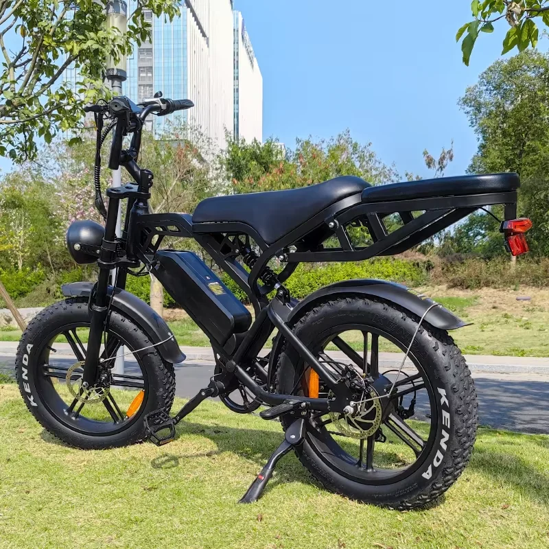 2024-Nieuwe-Eu-V20-1000W-48v15ah-Elektrische-Fiets-Groothandel-Mountain-Fatbike-Ebike-20Inch-Fat ...