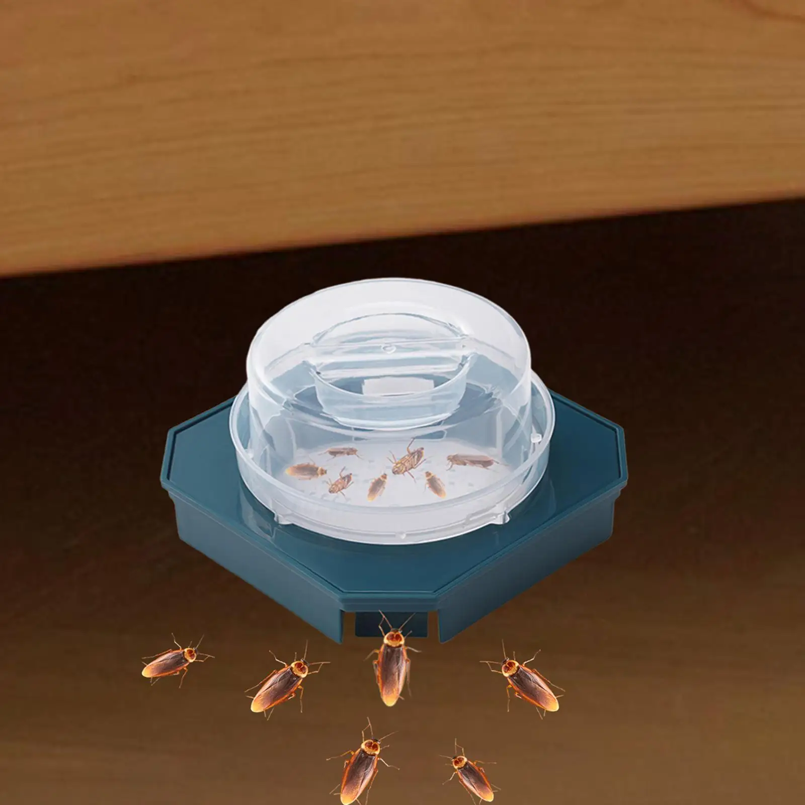 Cockroach-Box-Versatile-Trapping-Crawling-Bugs-House-Detachable ...