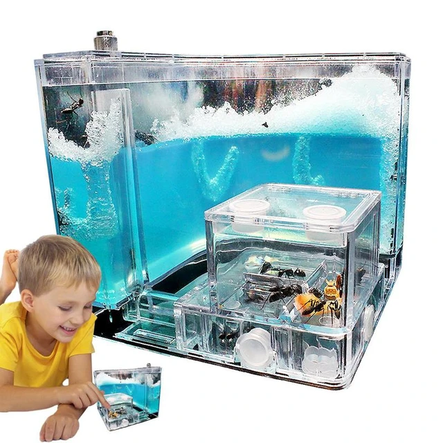 Jelly Ant Farming Material