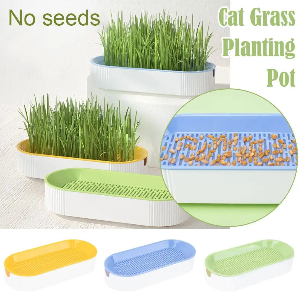 Pot de germination,Boîte hydroponique pour chat,bol de plantation d ...
