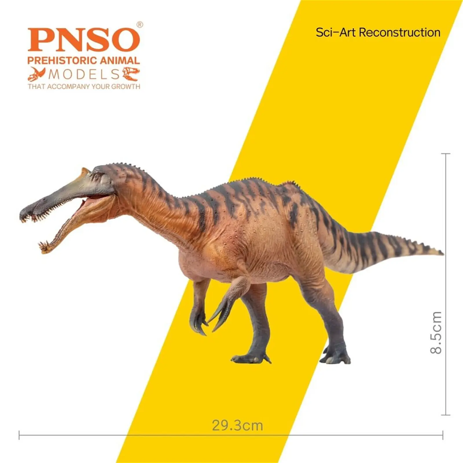 PNSO-66-Sinopliosaurus-Chongzuo-Model-Animal-Collector-Prehistoric ...