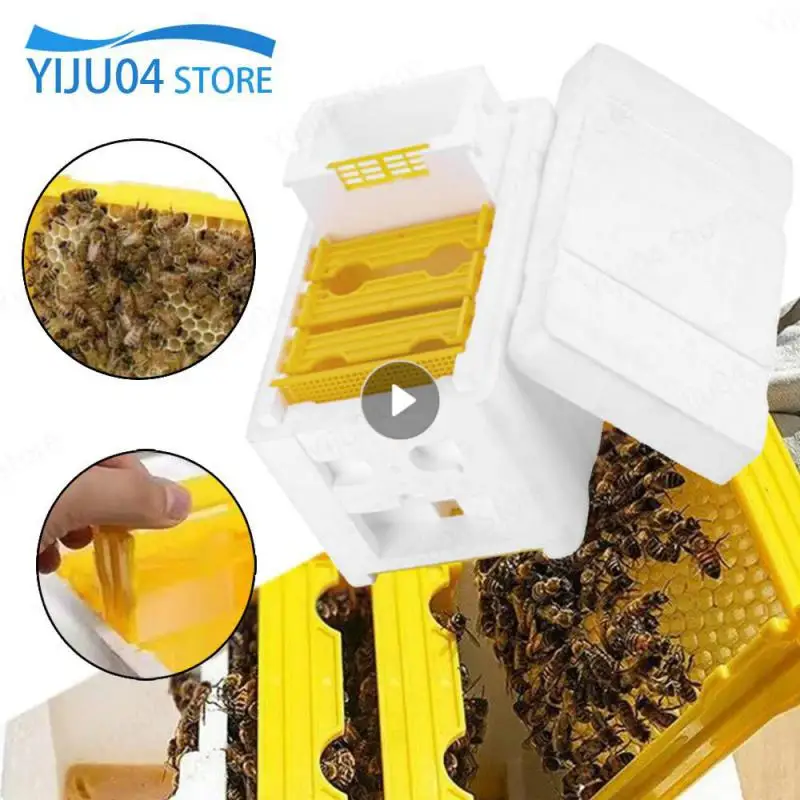 1PCS Beehive Beekeeping Queen Bee Rearing Mating Foam Pollination Box ...