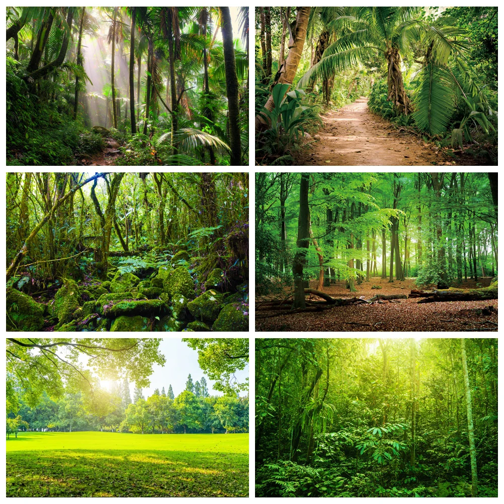 Tropical Rainforest Plants Collage