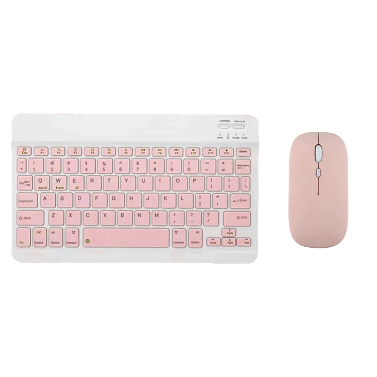 Kmart Mouse | ppgbbe.intranet.biologia.ufrj.br