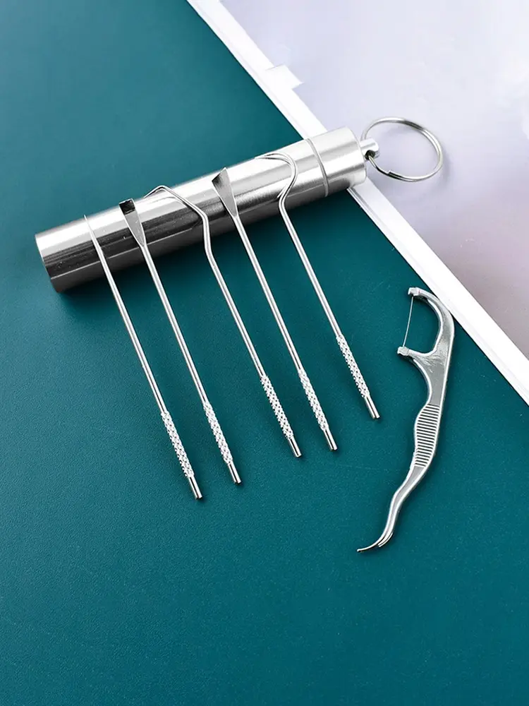 Stainless-Steel-Toothpick-Set-Portable-Toothpick-Holder-Care-Metal ...
